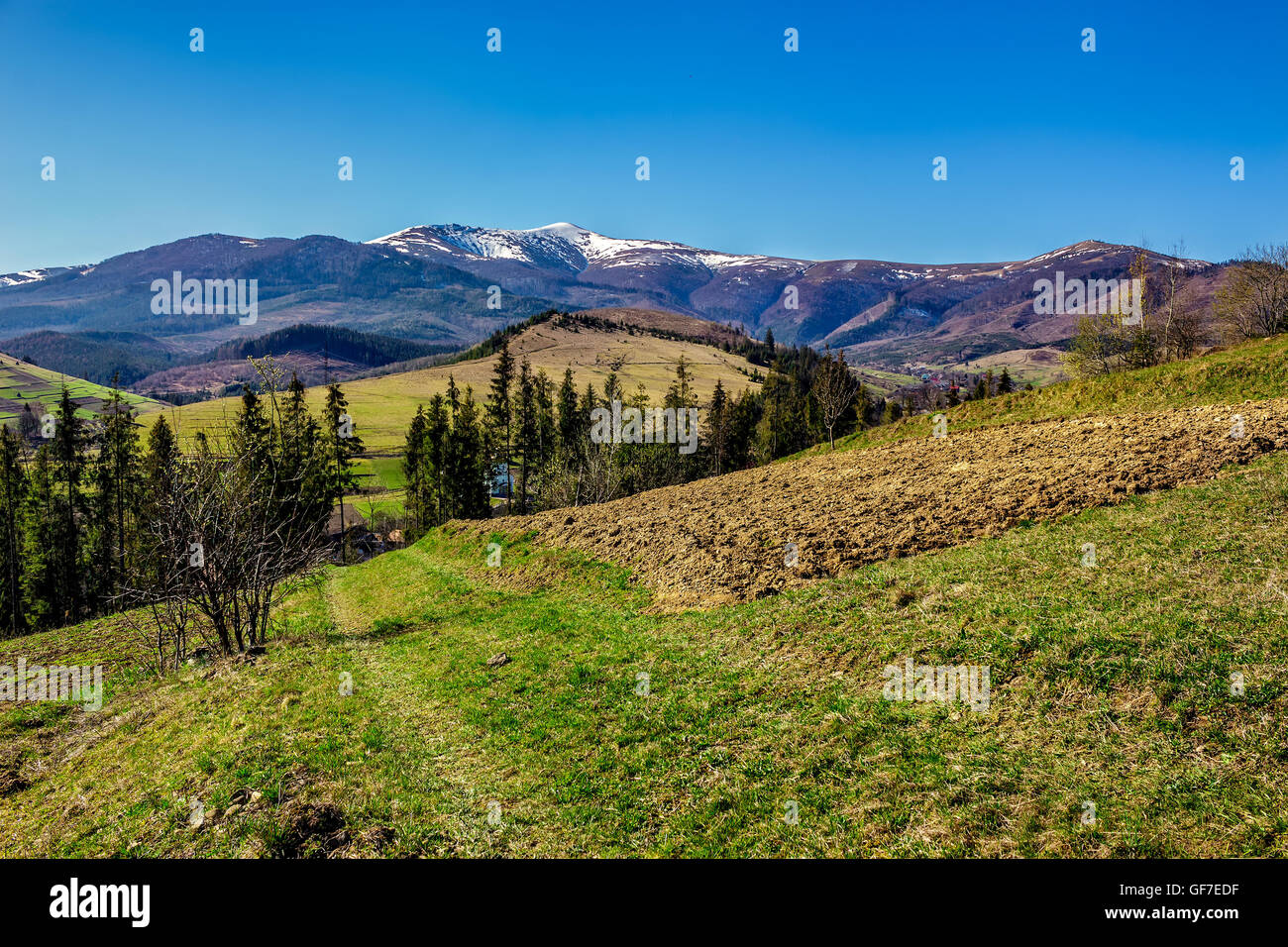 Des pics de montagne des Carpates dans la neige au-dessus de green ...