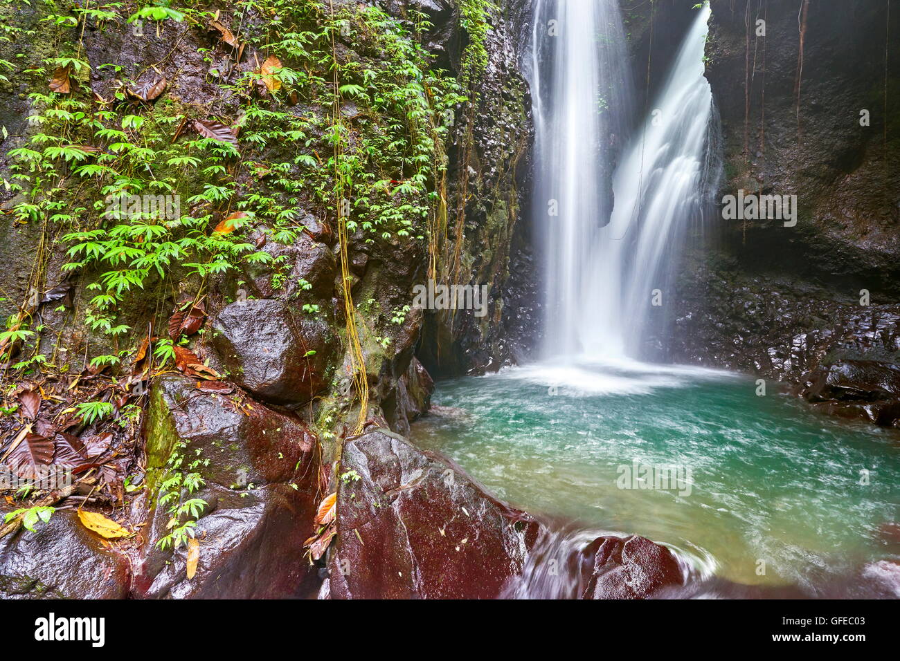 Git git cascade Banque de photographies et d’images à haute résolution ...