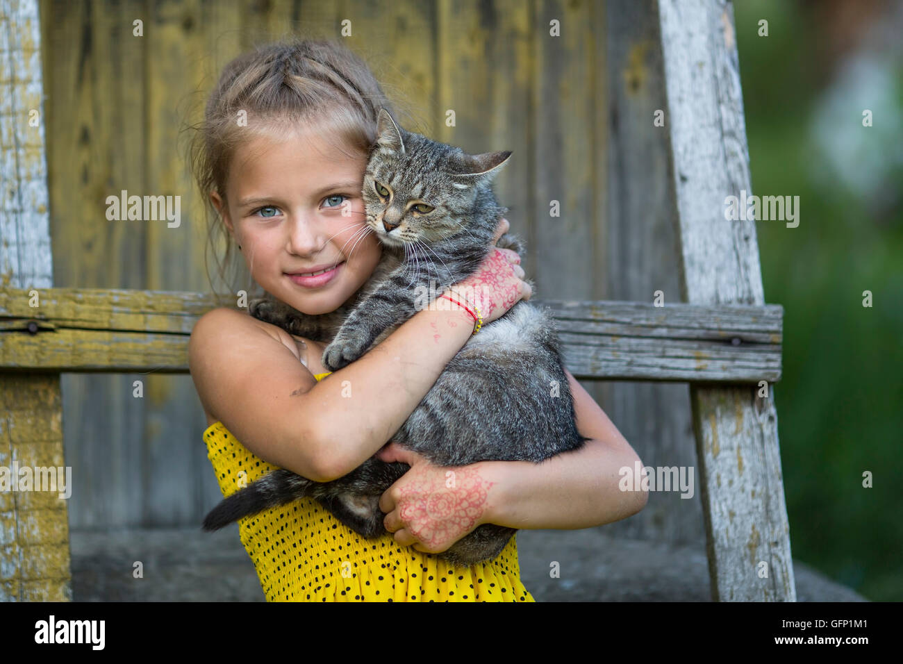 Chat Qui Joue Avec Une Fleur Banque De Photographies Et Dimages à