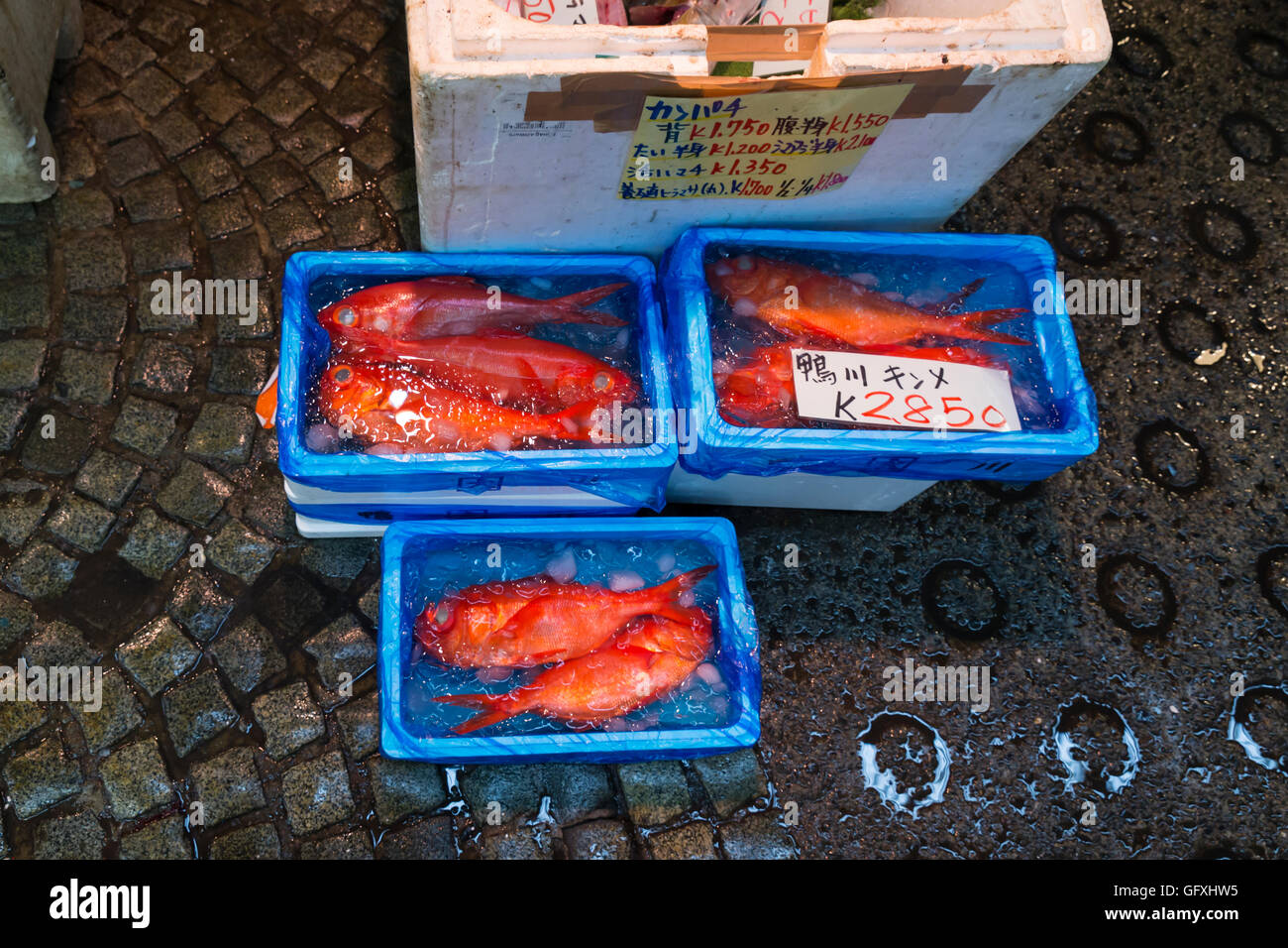 Styrofoam fish boxes Banque de photographies et d’images à haute ...