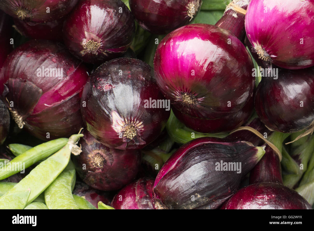 Ail et oignons rouges Banque de photographies et d’images à haute ...
