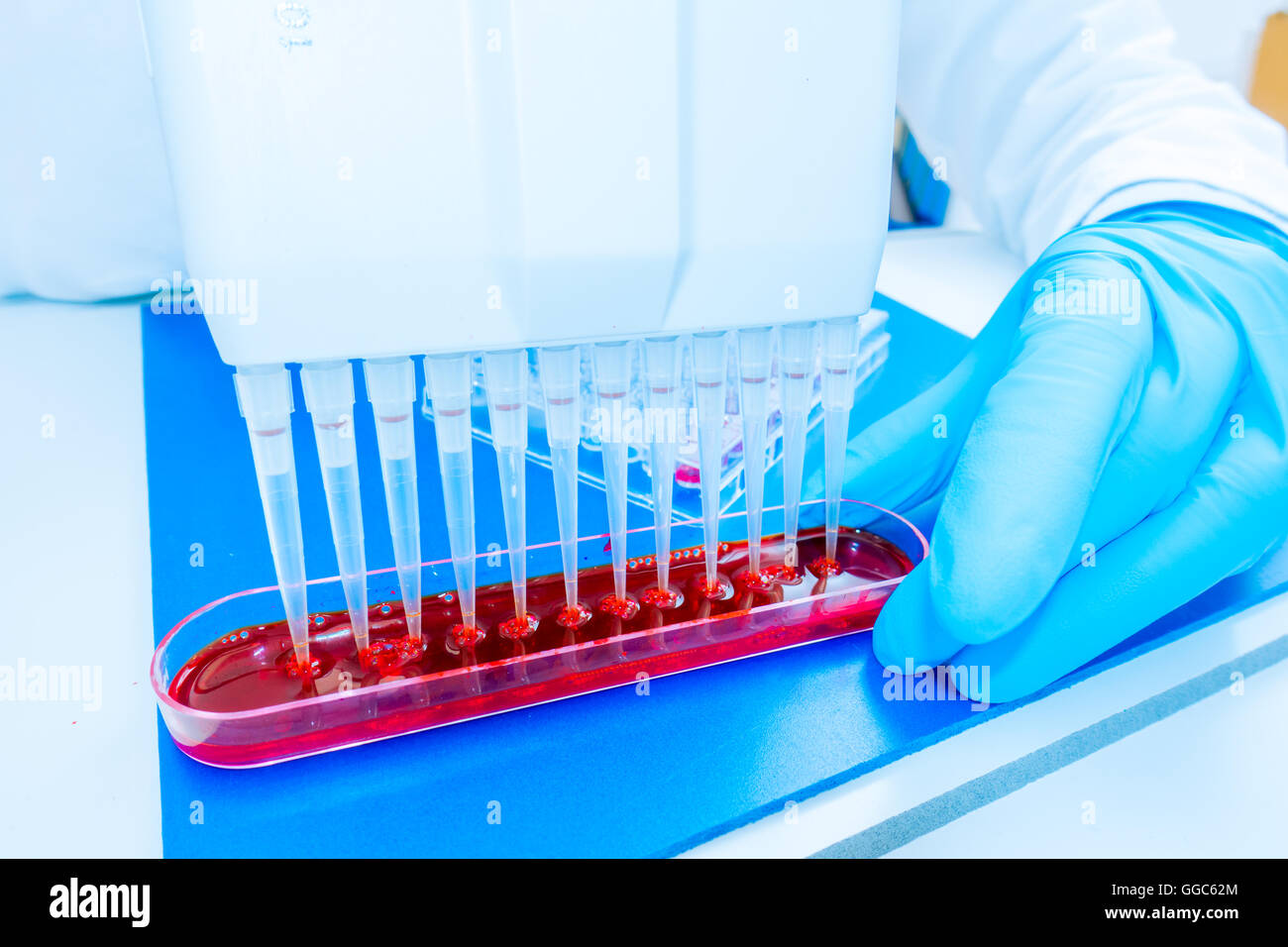 Plaque 96 puits Banque de photographies et d’images à haute résolution ...