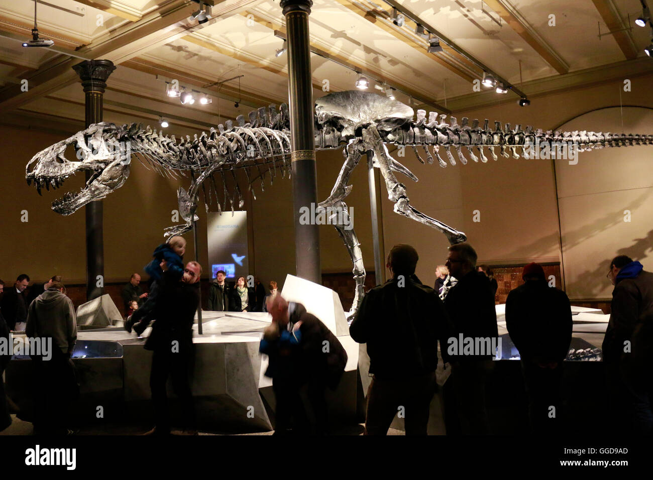 Tyrannus saurus rex Banque de photographies et d’images à haute ...