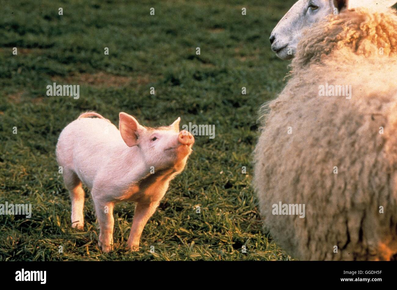 EIN SCHWEINCHEN NAMENS BABE / Babe, Le Cochon Gallant AUS/USA 1995 ...