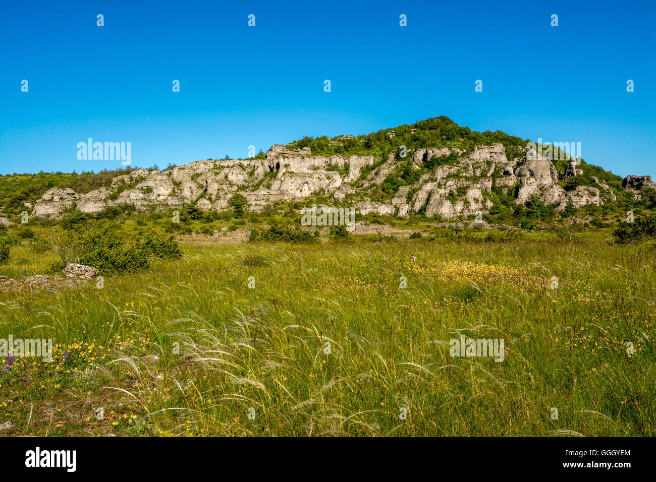 Paysage du plateau de larzac Banque de photographies et d’images à ...