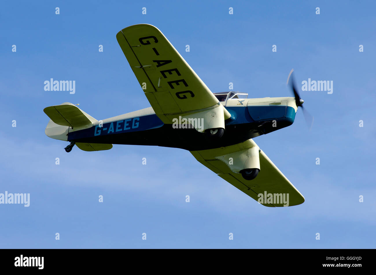 Miles falcon Banque de photographies et d’images à haute résolution - Alamy