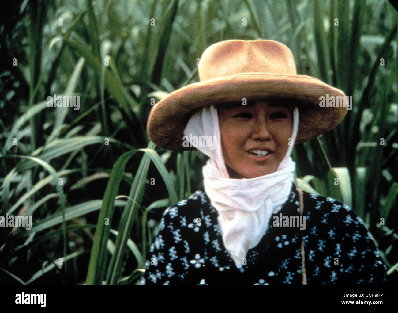 DAS GEHEIMNIS DER BRAUT / Picture Bride USA 1995 / Kayo Hatta Voir mit ...