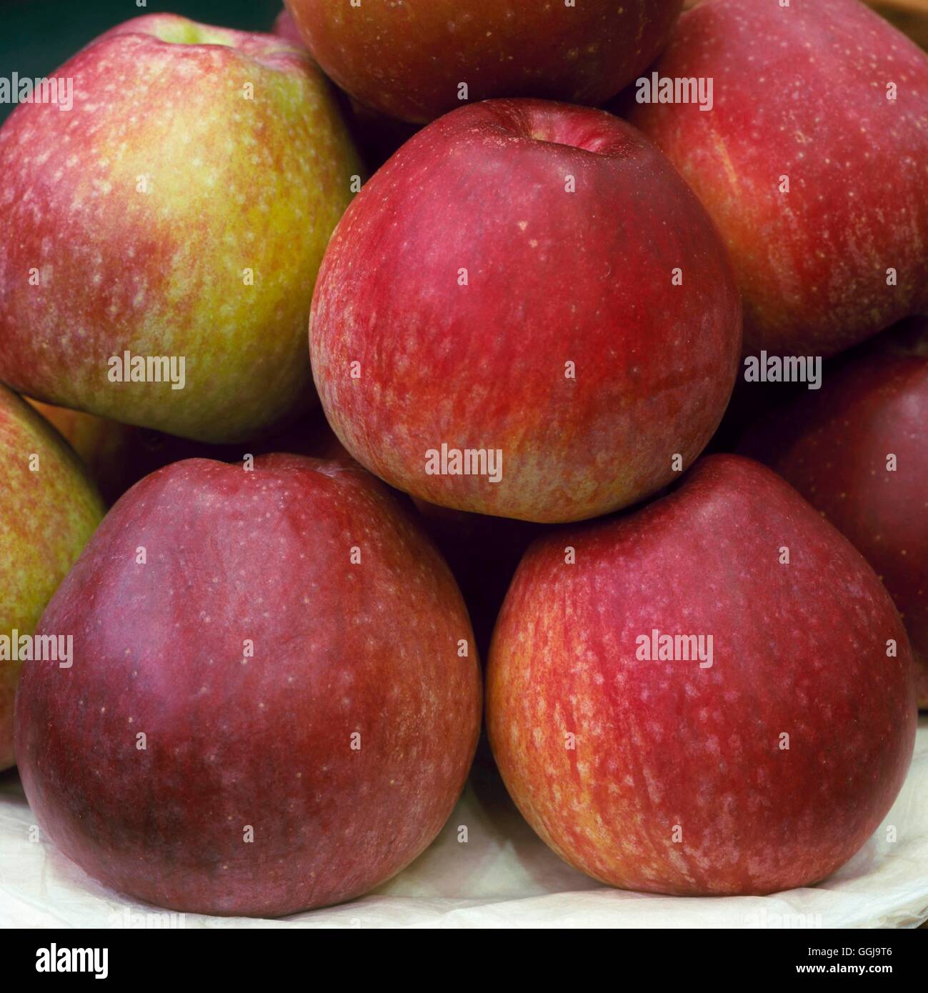 Spartan apple Banque de photographies et d’images à haute résolution ...