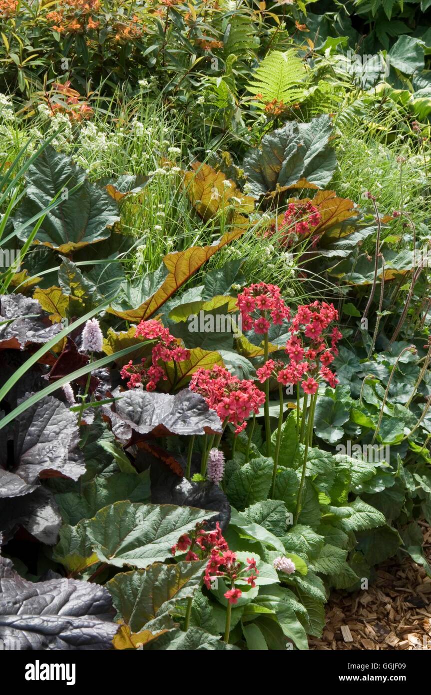 Mixed border Banque de photographies et d’images à haute résolution - Alamy