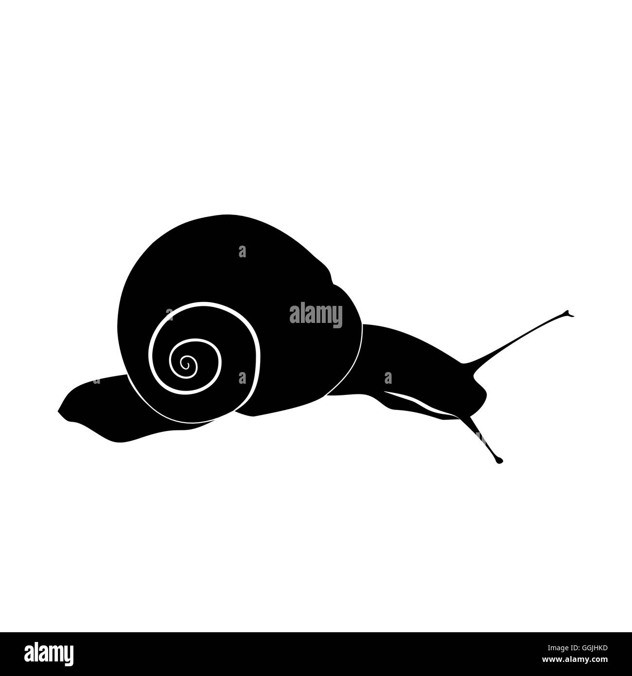 Escargot peint Banque d'images vectorielles - Alamy
