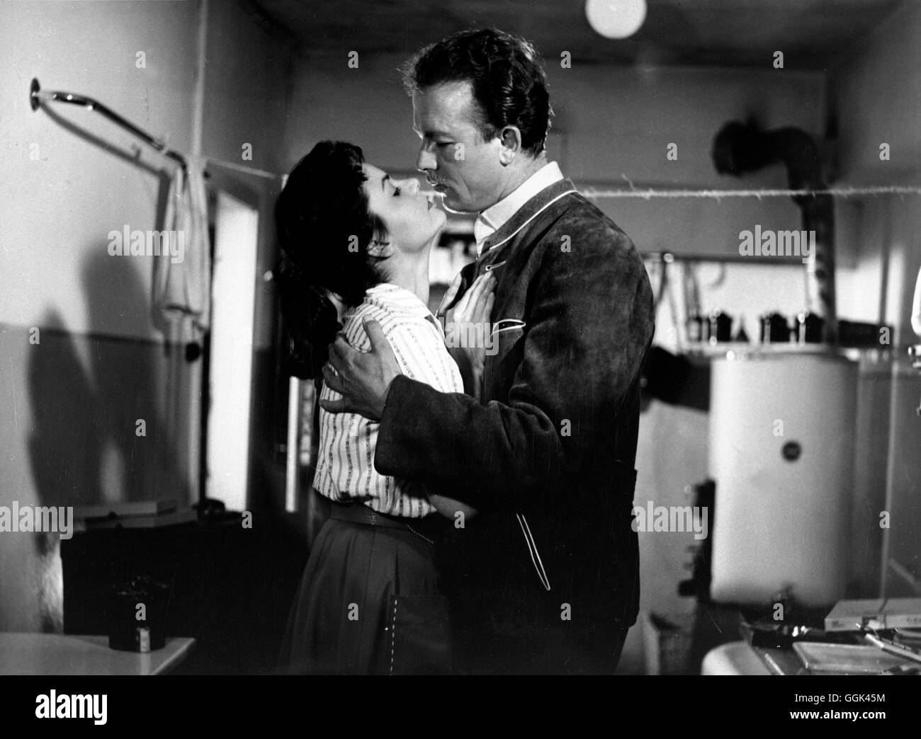 Der forster vom silberwald Banque de photographies et d’images à haute ...