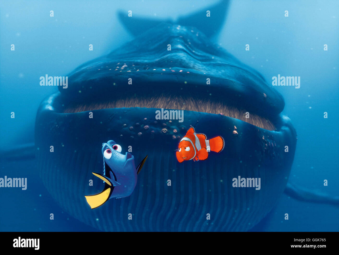FINDET Nemo Finding Nemo / USA 2003 / Lee Unkrich, Andrew Stanton ...