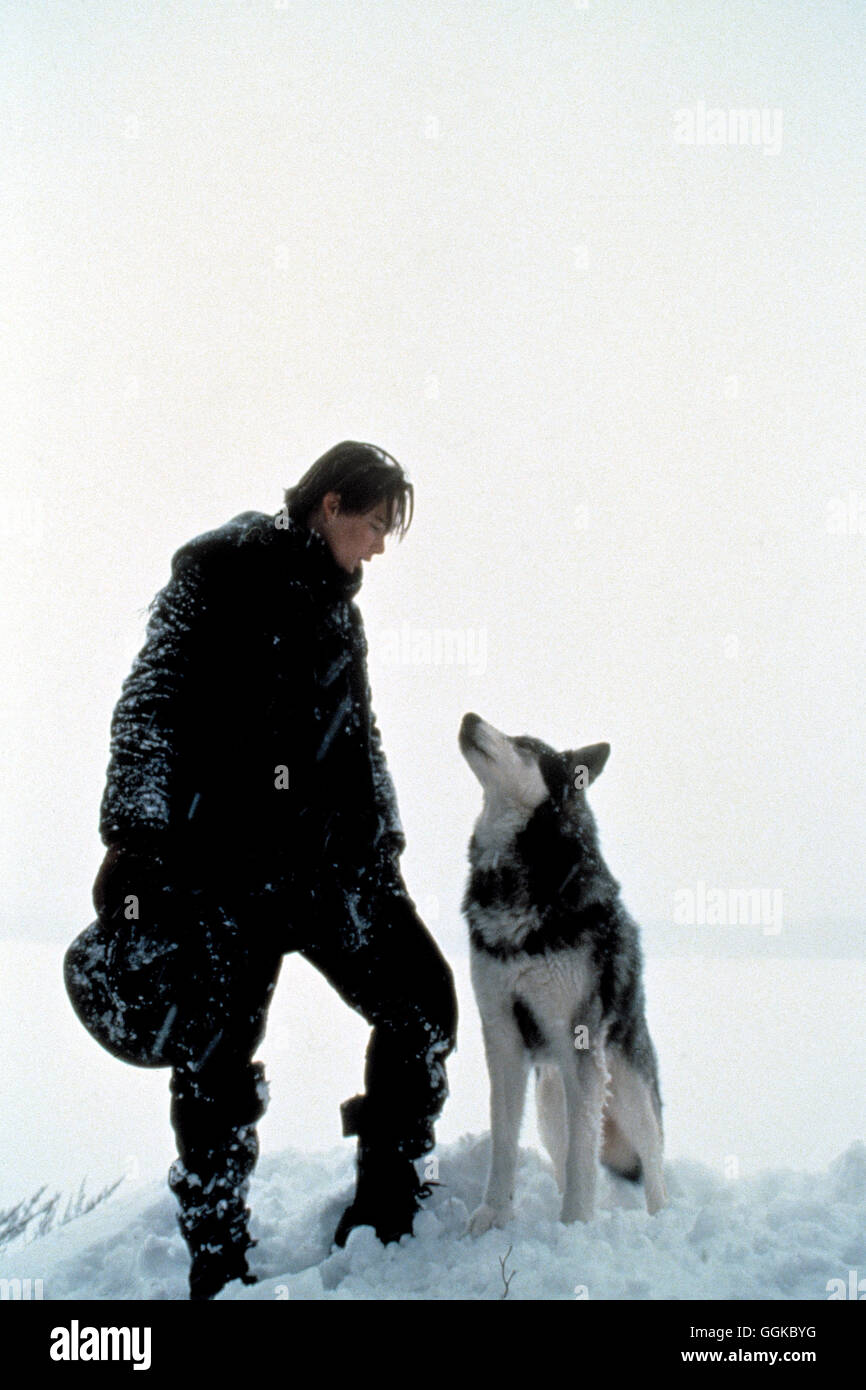 WOLFSBLUT / Croc Blanc USA 1990 / Randal Kleiser Filmszene : Ethan ...