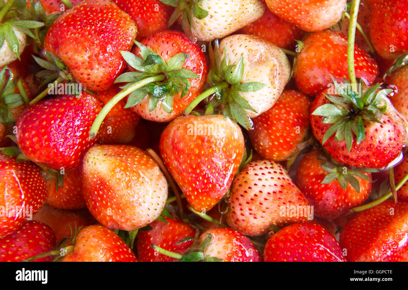 Fond de fraise rouge Banque de photographies et d’images à haute ...