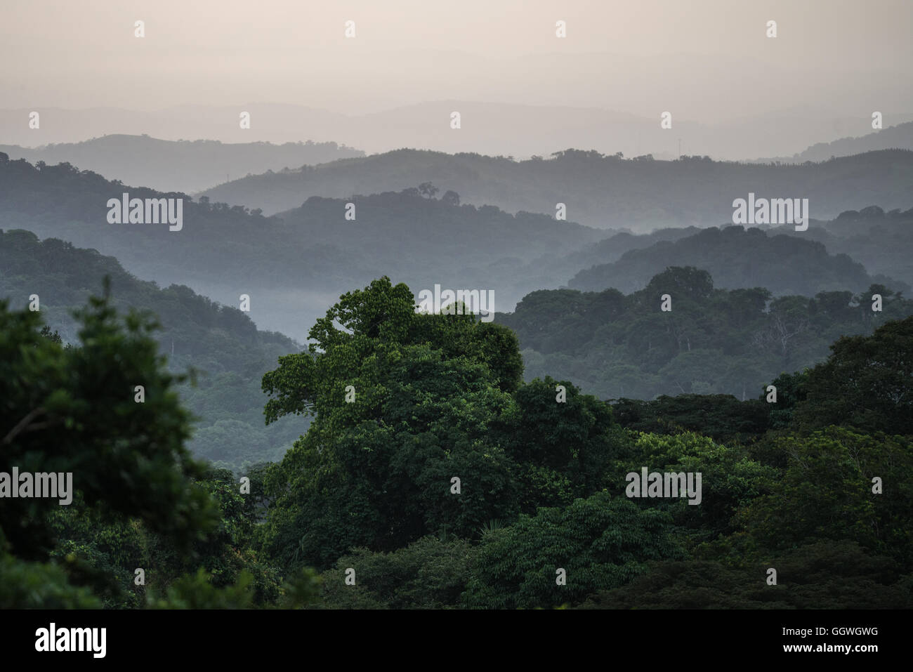 Parc national du panama Banque de photographies et d’images à haute ...