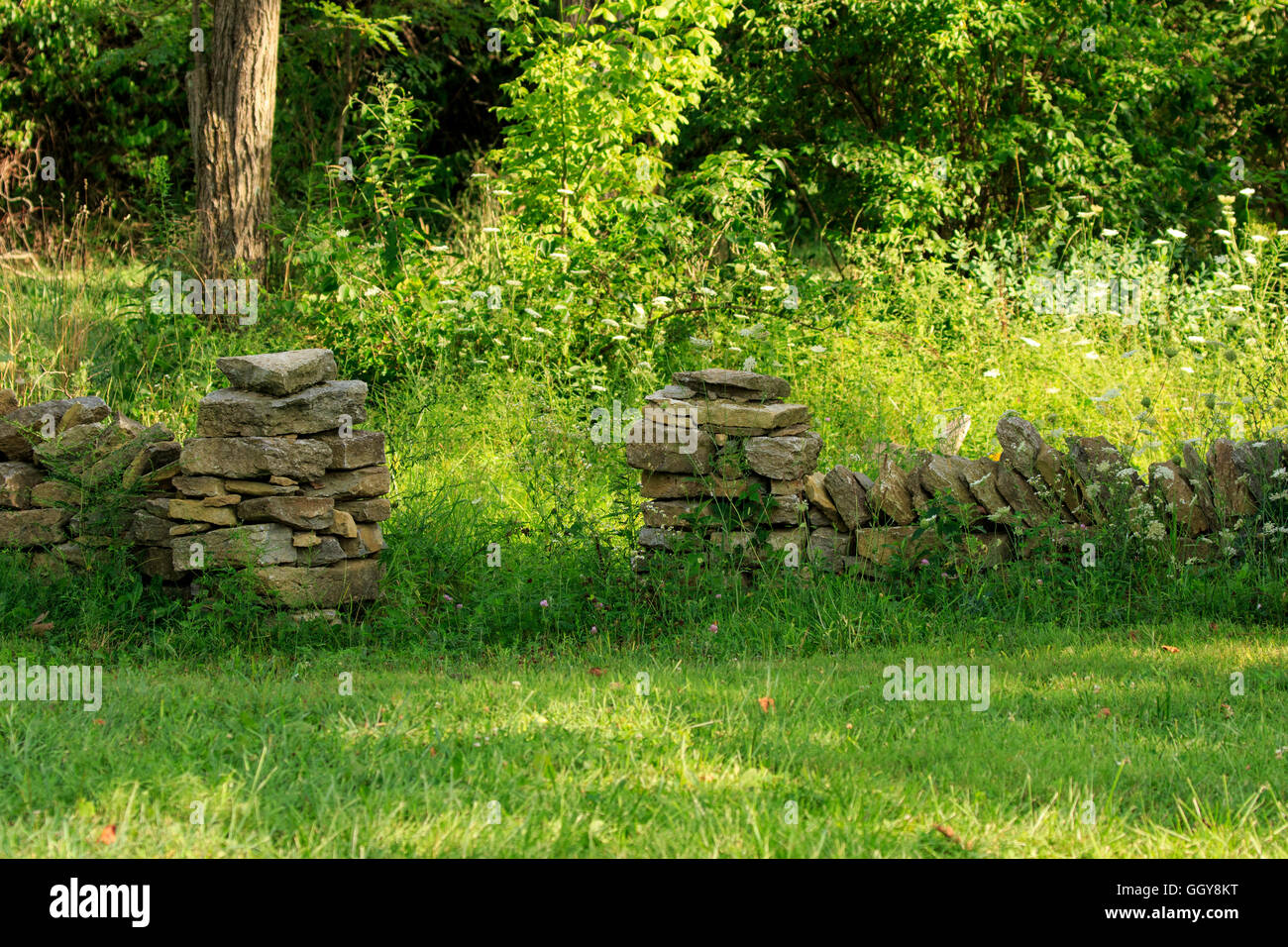 Bord de champ avec mur de champ Banque de photographies et d’images à ...