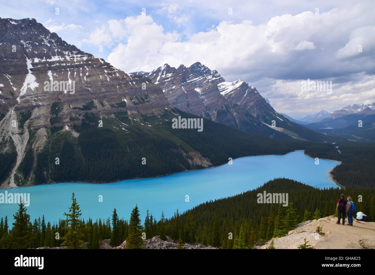 Parc national du lac peyto banff Banque de photographies et d’images à ...