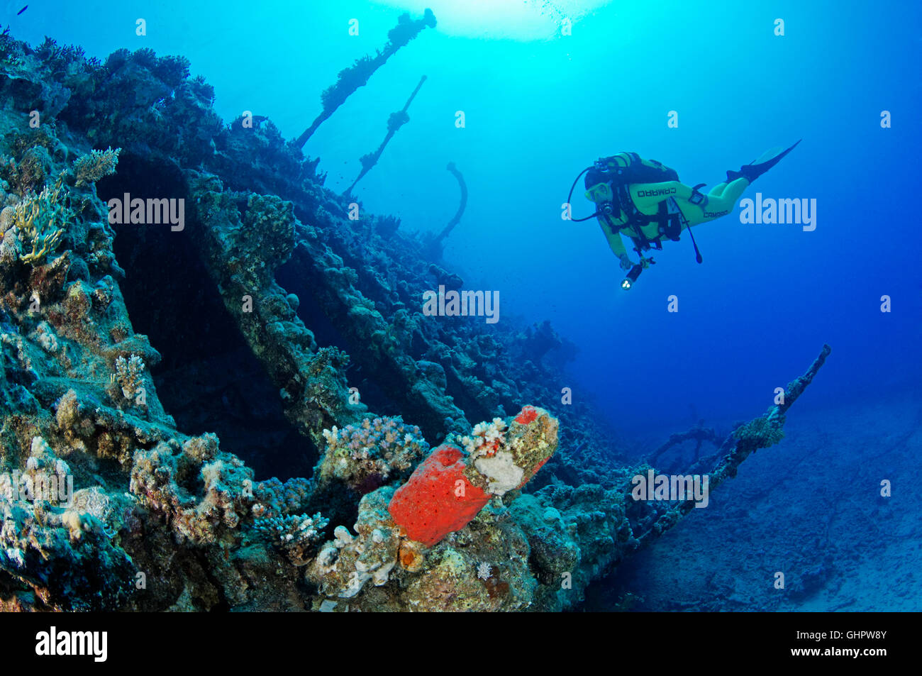 Naufrage SS Carnatic, plongée sous-marine sur épave, Hurghada, Shaab ...