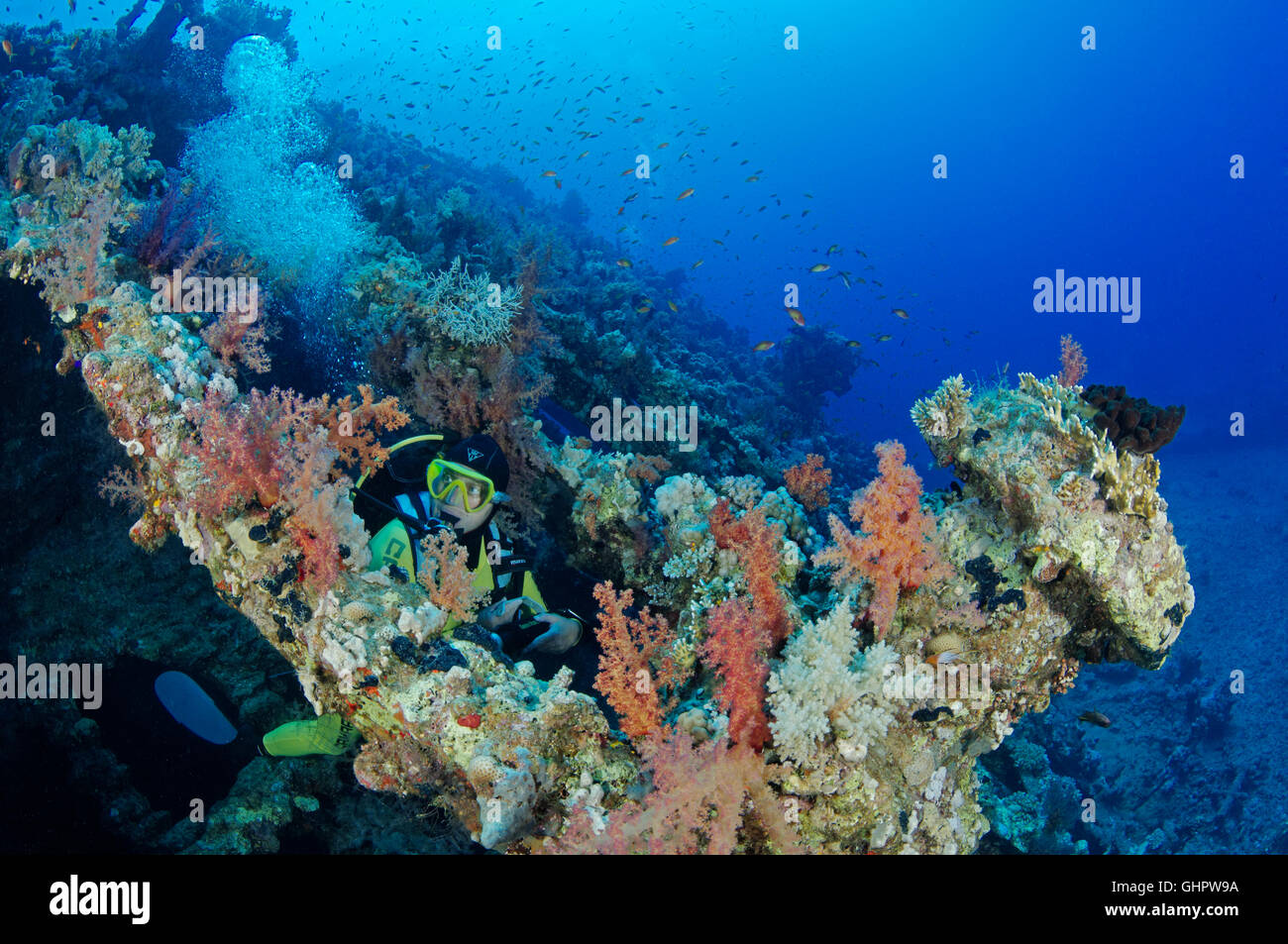 Le navire carnatic wreck red mer egypte Banque de photographies et d ...