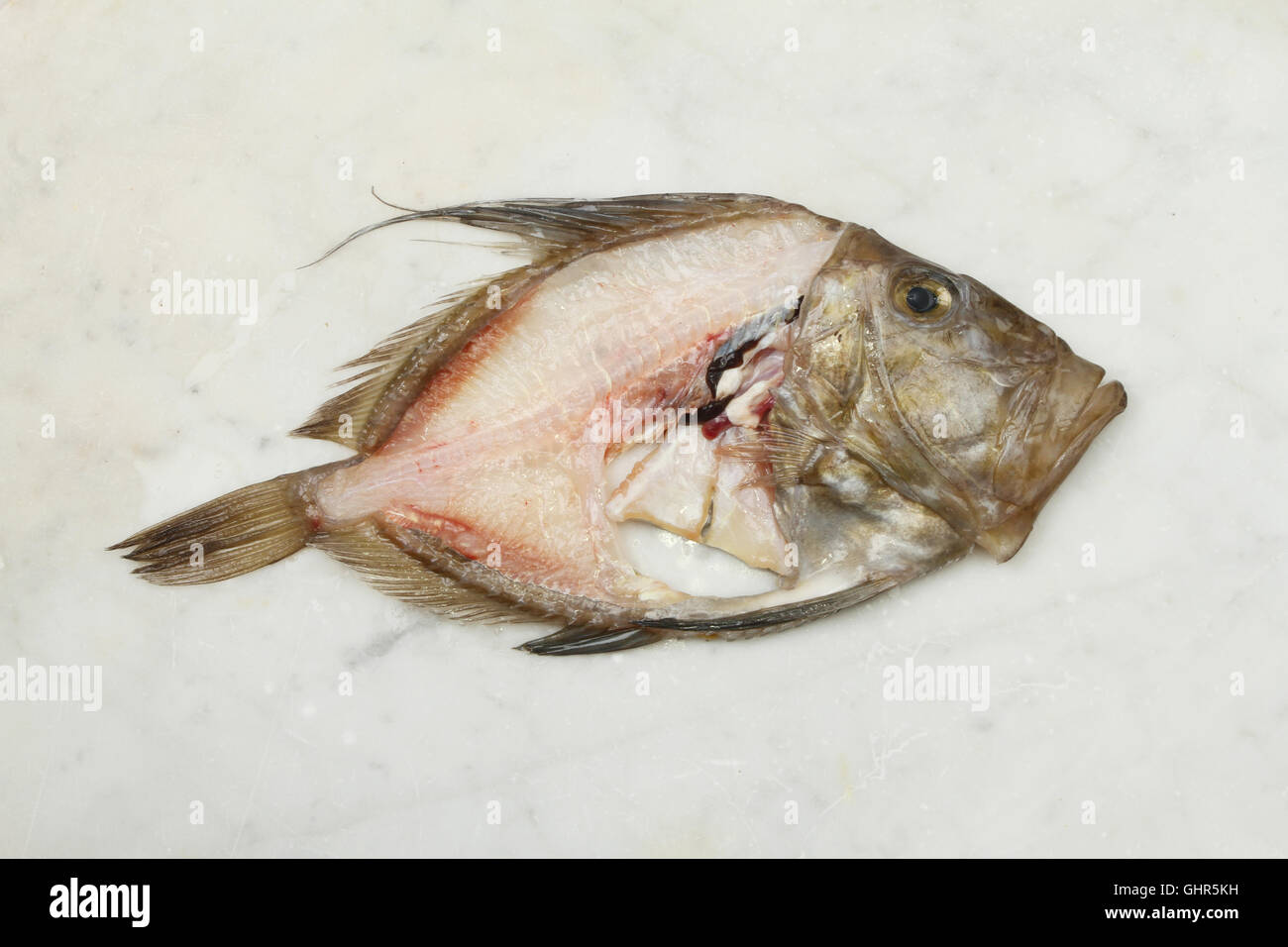 Poisson en marbre Banque de photographies et d’images à haute ...