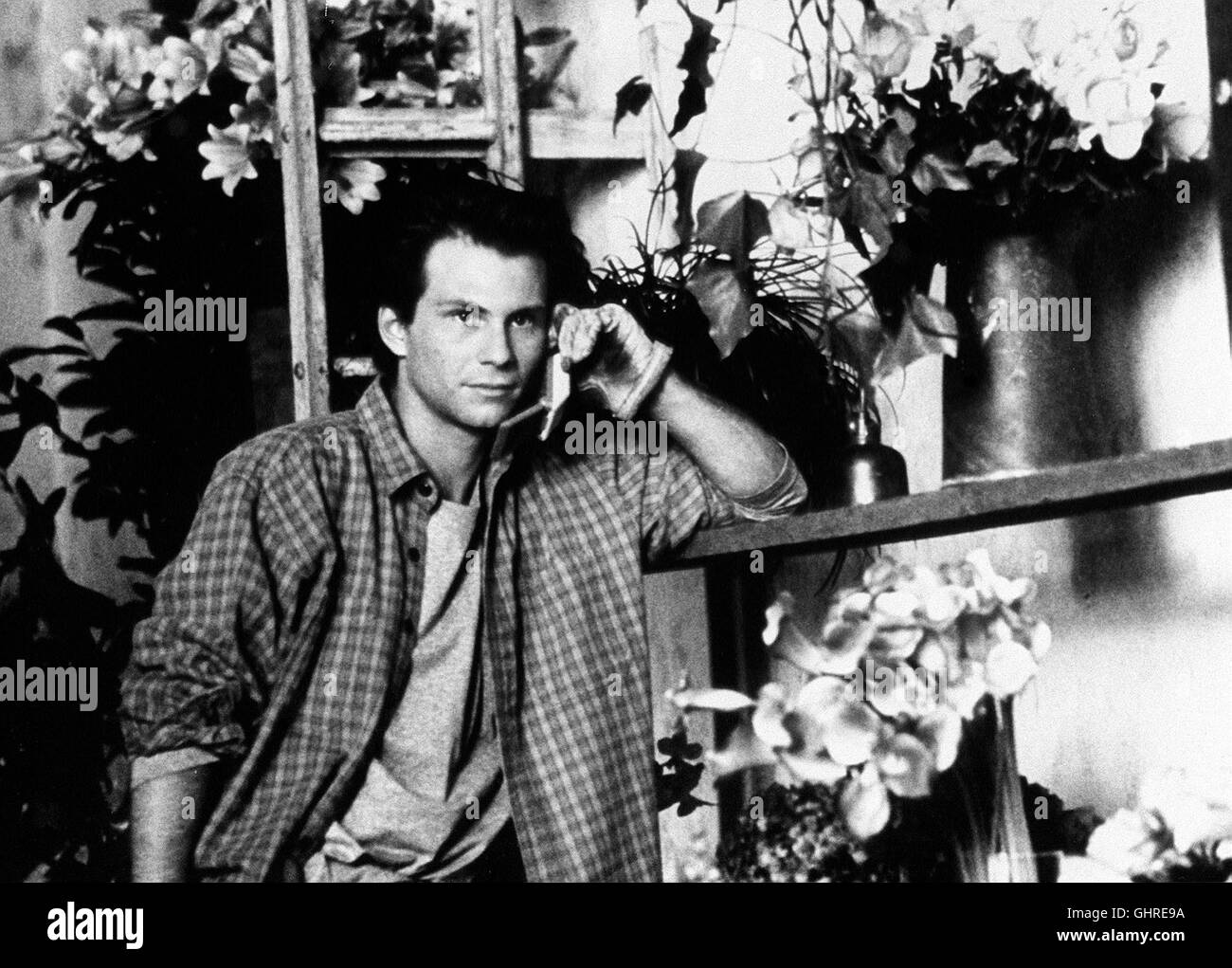 Das rosenbett Banque de photographies et d’images à haute résolution ...