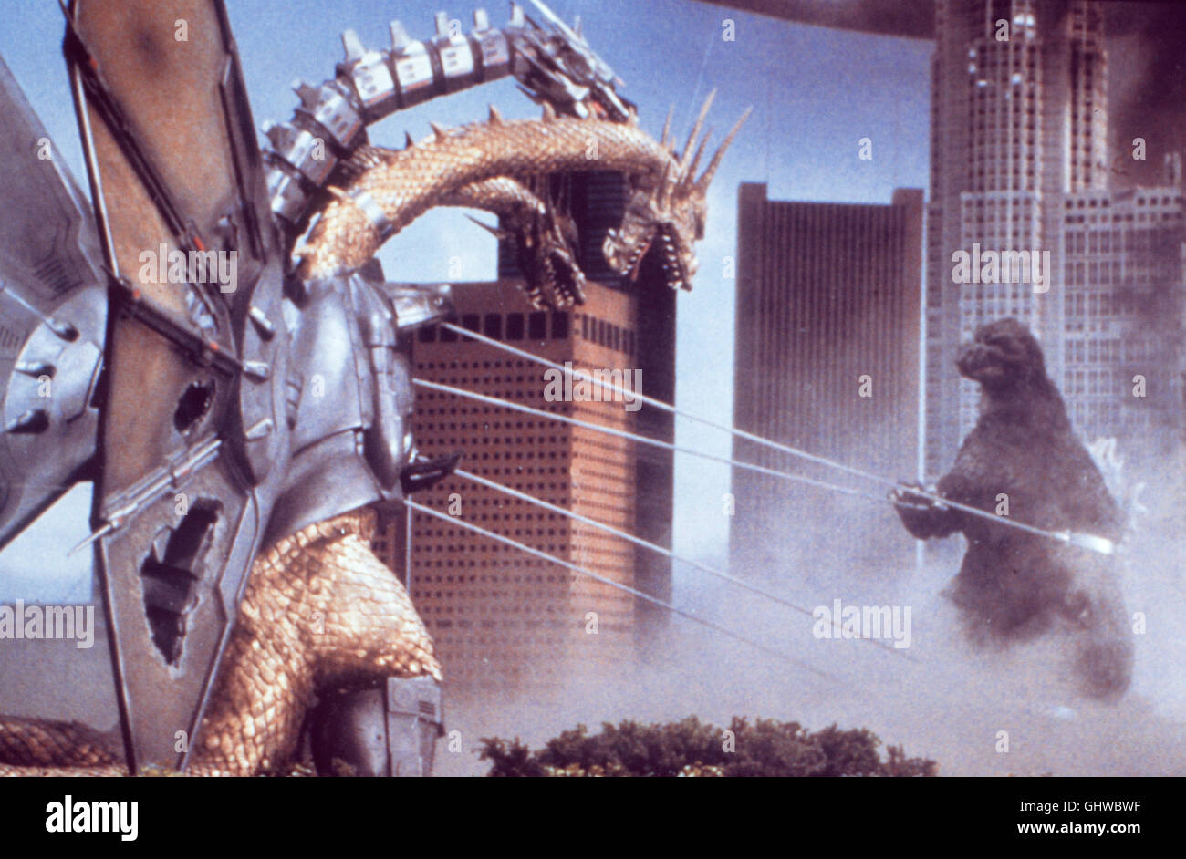 GODZILLA - DUELL DER MEGASAURIER Voir Monster, Nicola Ursula Zitzmann ...