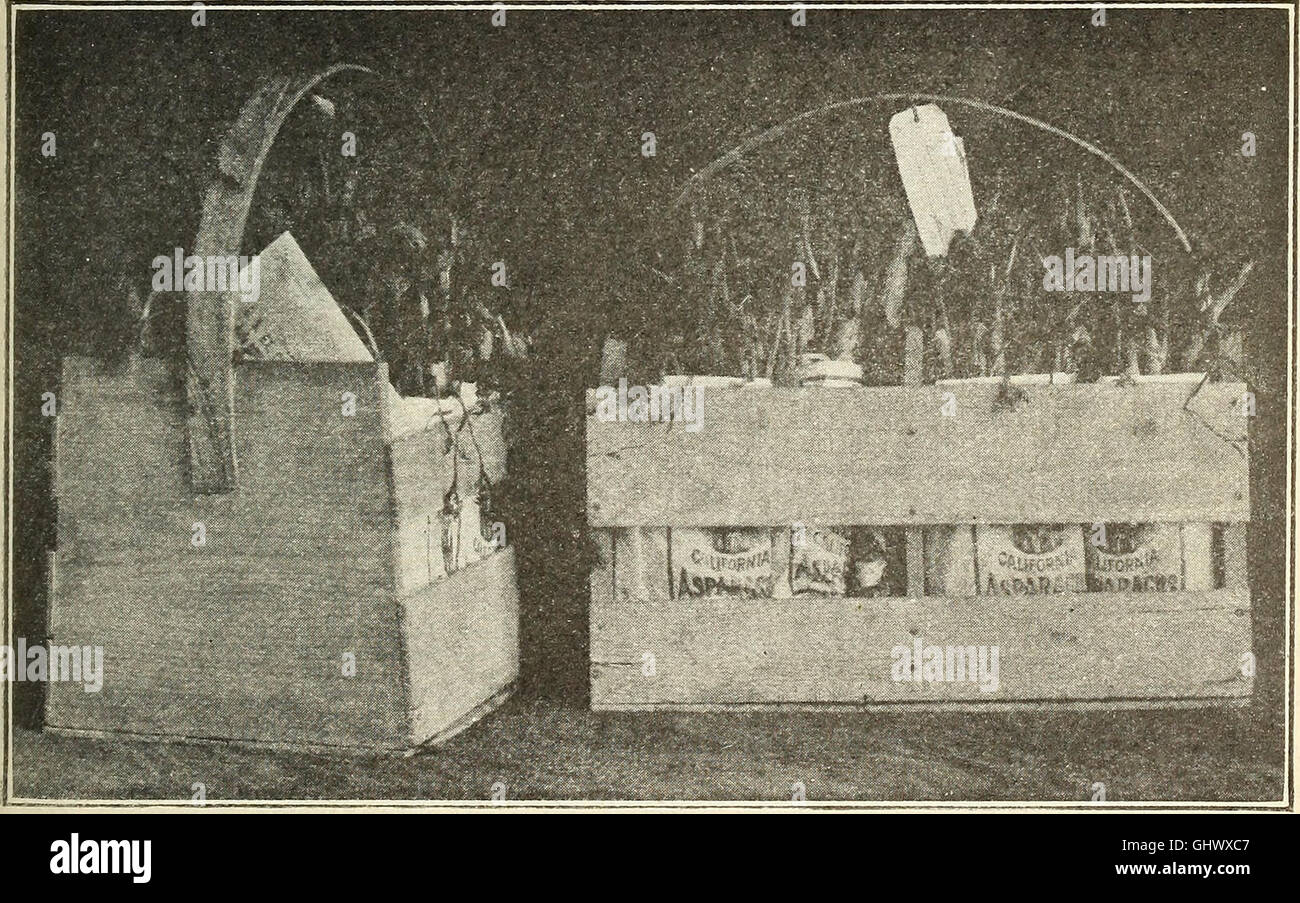 Lettre udo Banque de photographies et d’images à haute résolution - Alamy