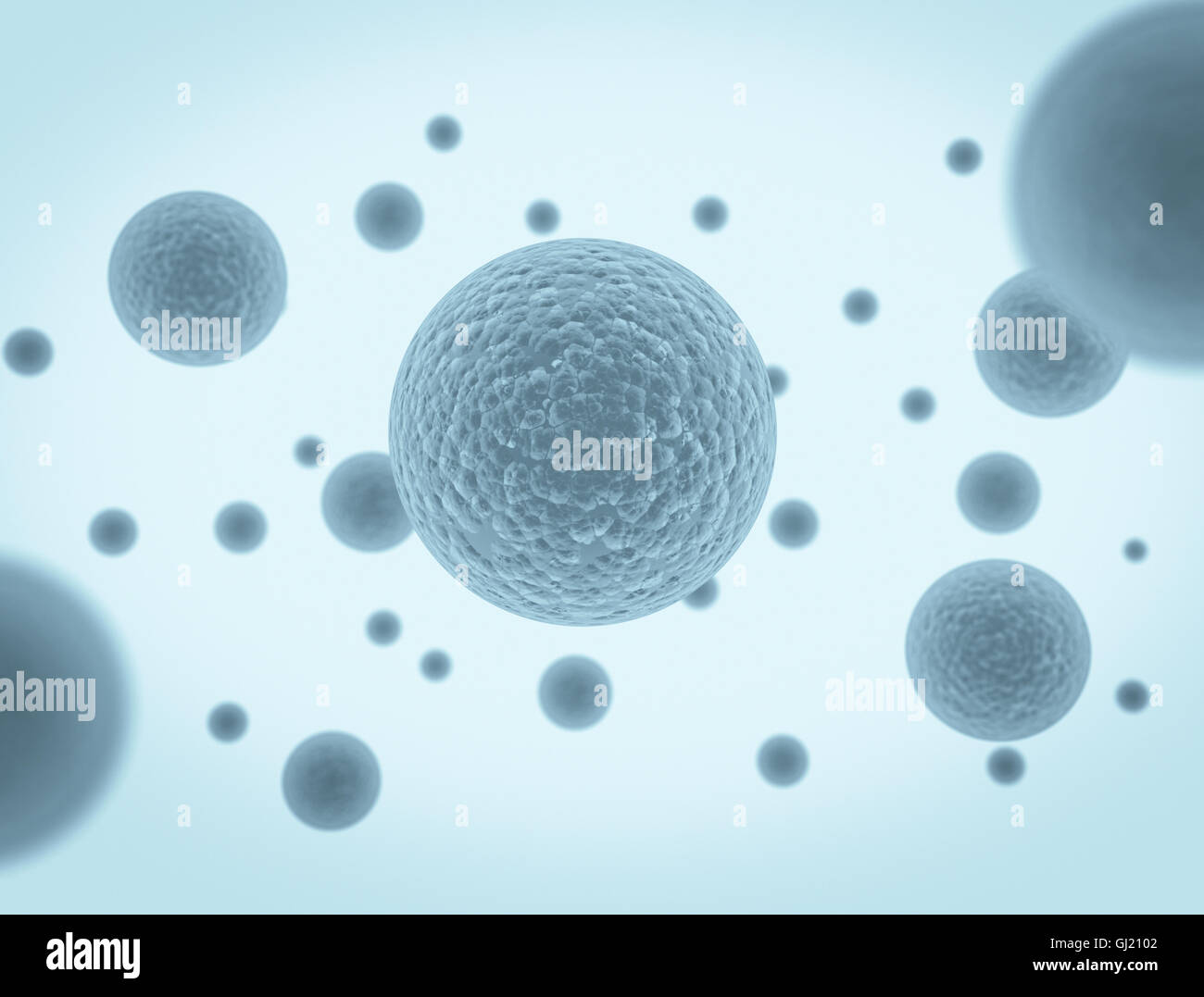 Cellules microscopiques Banque de photographies et d’images à haute ...