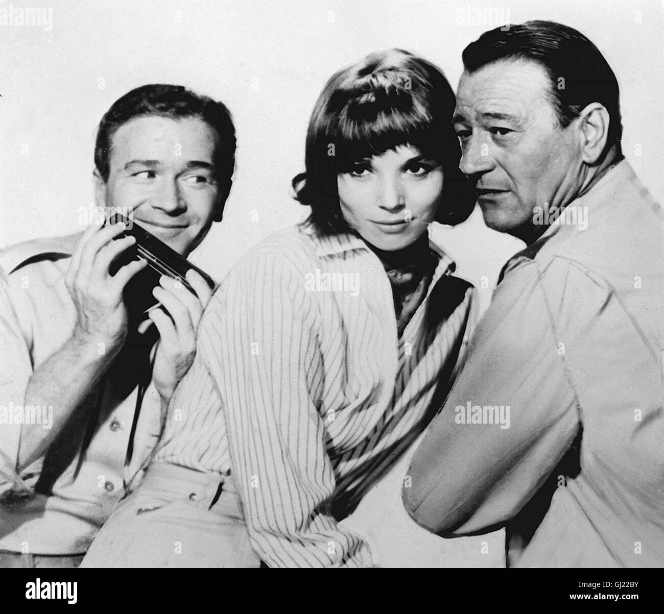 Elsa martinelli hatari Banque d'images noir et blanc - Alamy