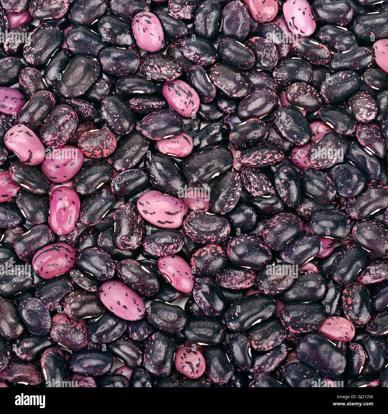 Bob lumineux Banque de photographies et d’images à haute résolution - Alamy