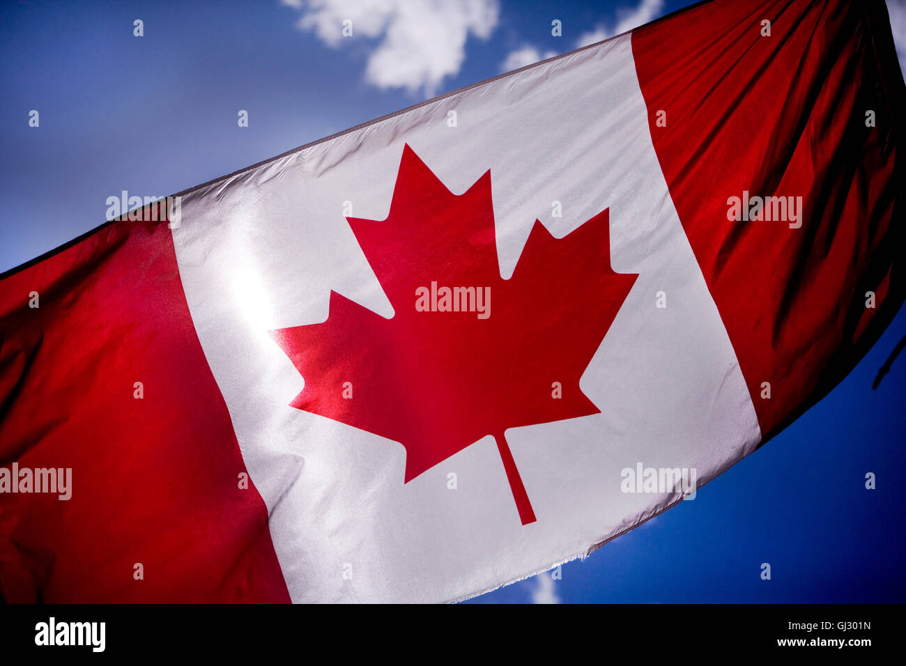 Tattered canadian flag Banque de photographies et d’images à haute ...