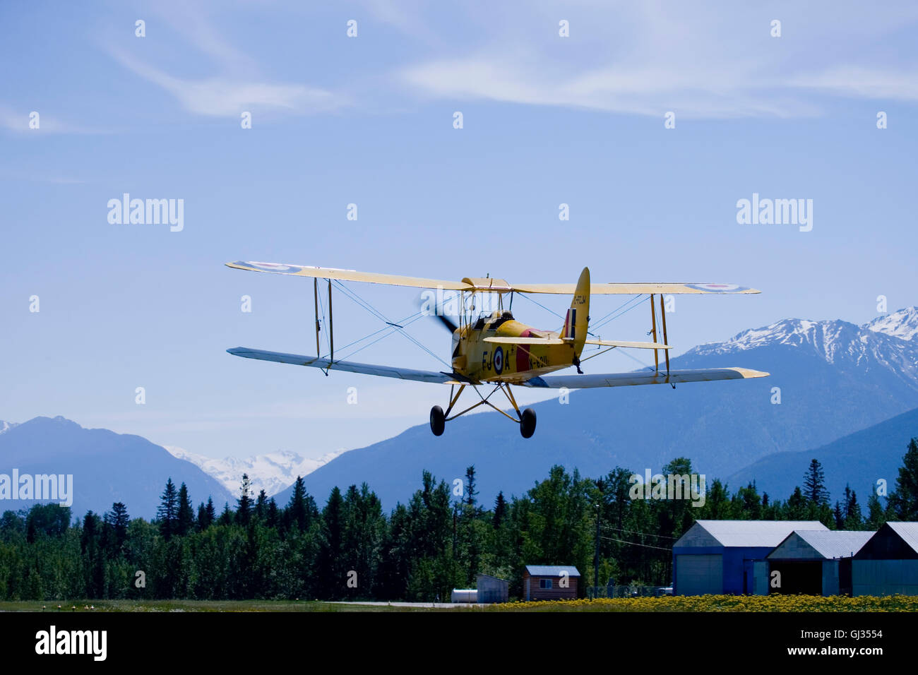 Tiger moth avion Banque de photographies et d’images à haute résolution ...