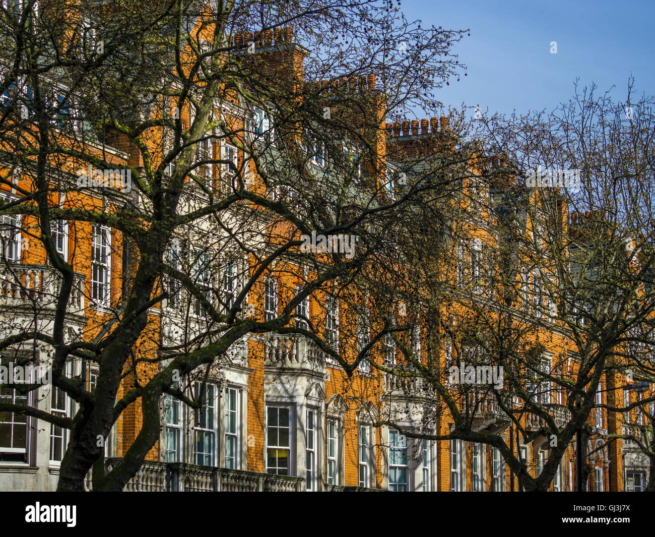 Arbre généalogique et Boulevard Apartments, London England Photo Stock ... Arbre généalogique et Boulevard Apartments, London England Photo Stock ...