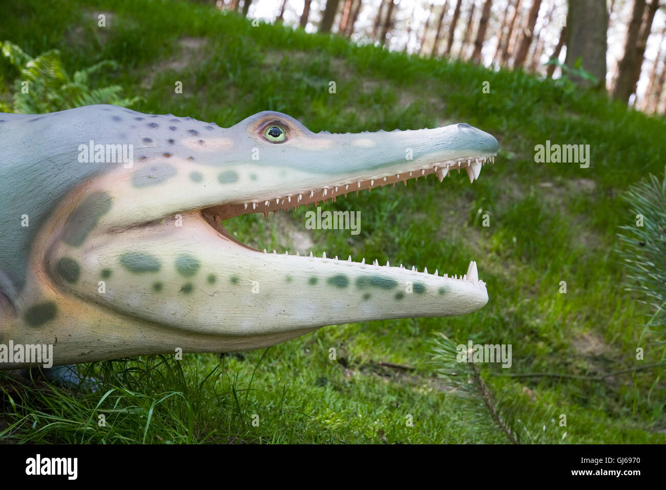 Mastodonsaurus giganteus Banque de photographies et d’images à haute ...