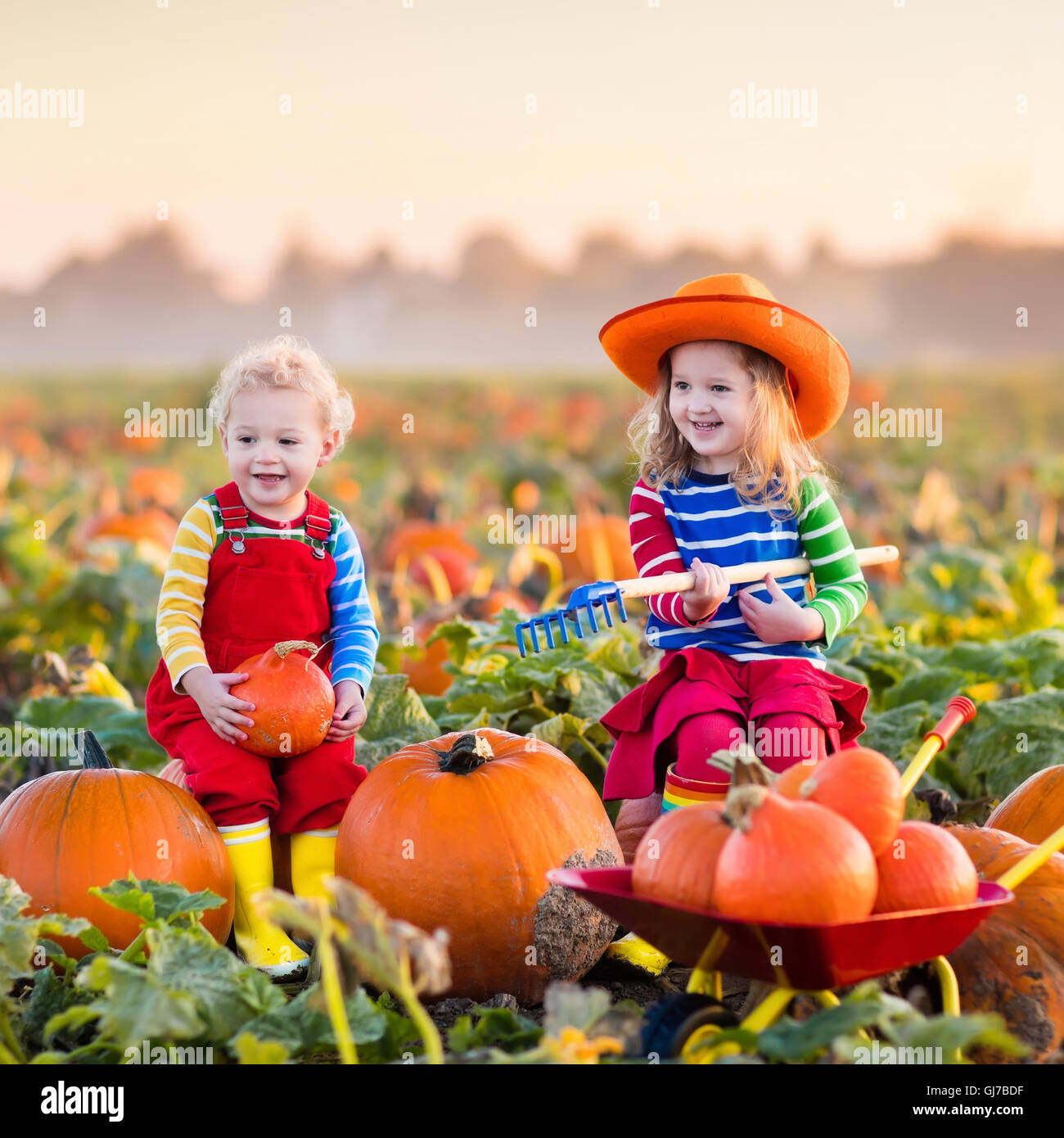 Little girl et boy picking sur citrouilles Halloween Pumpkin Patch ...