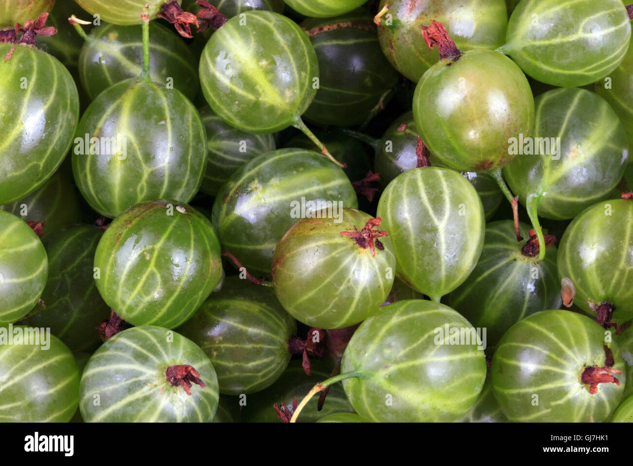Fruit groseille Banque de photographies et d’images à haute résolution ...
