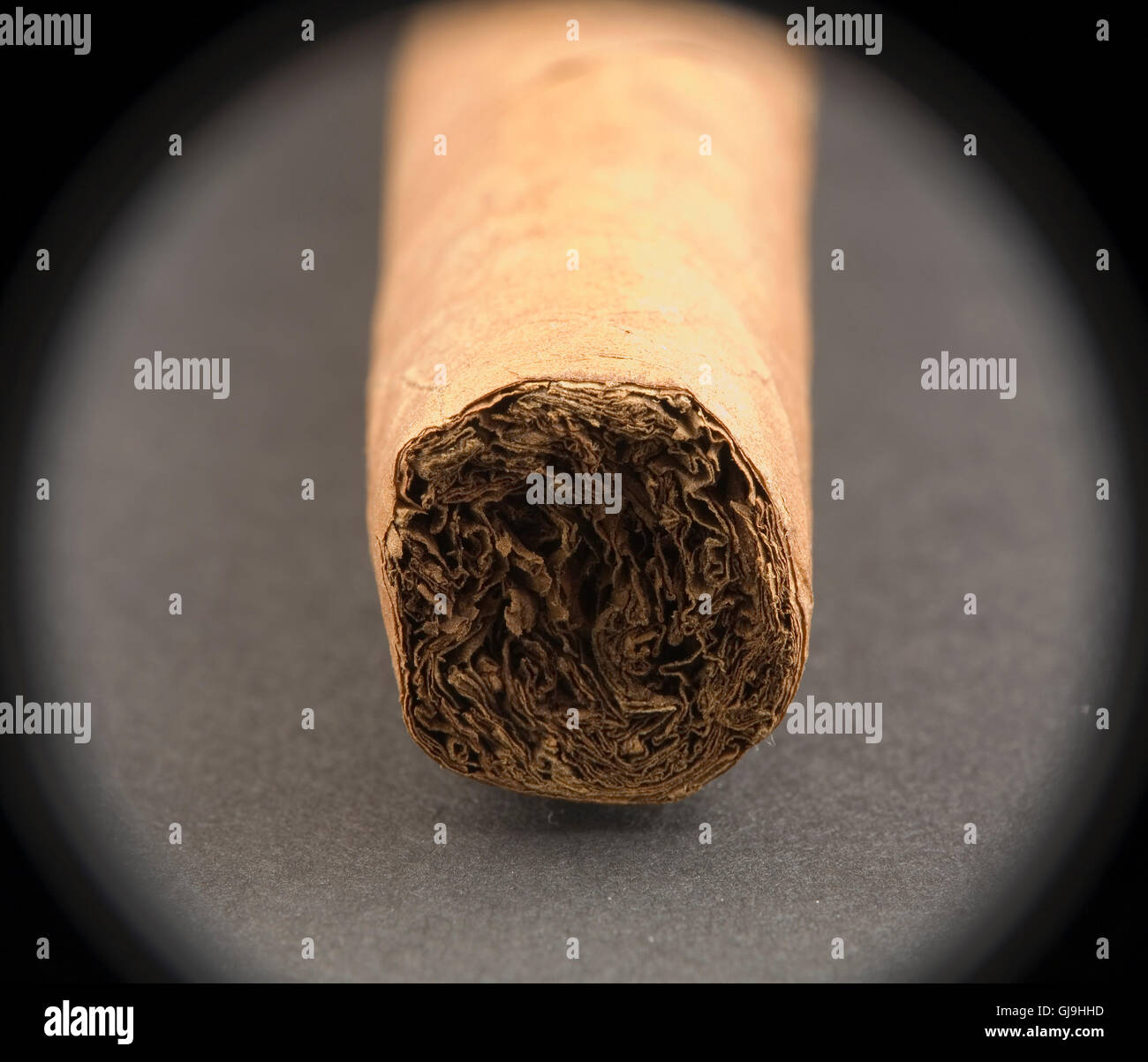 Cigar brand Banque de photographies et d’images à haute résolution - Alamy