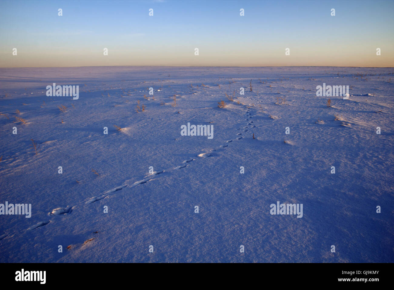 Cold desert Banque de photographies et d’images à haute résolution - Alamy