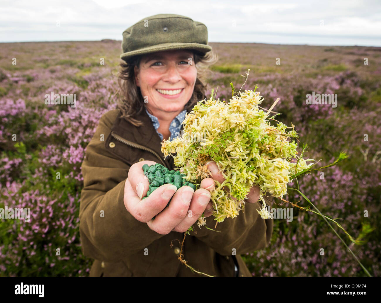 Landes landes maures Banque de photographies et d’images à haute ...