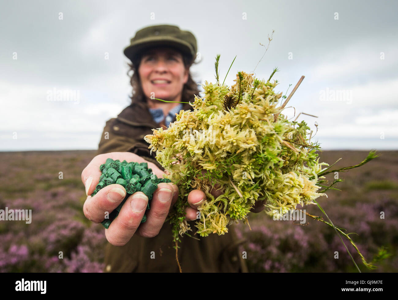 Amanda anderson Banque de photographies et d’images à haute résolution ...