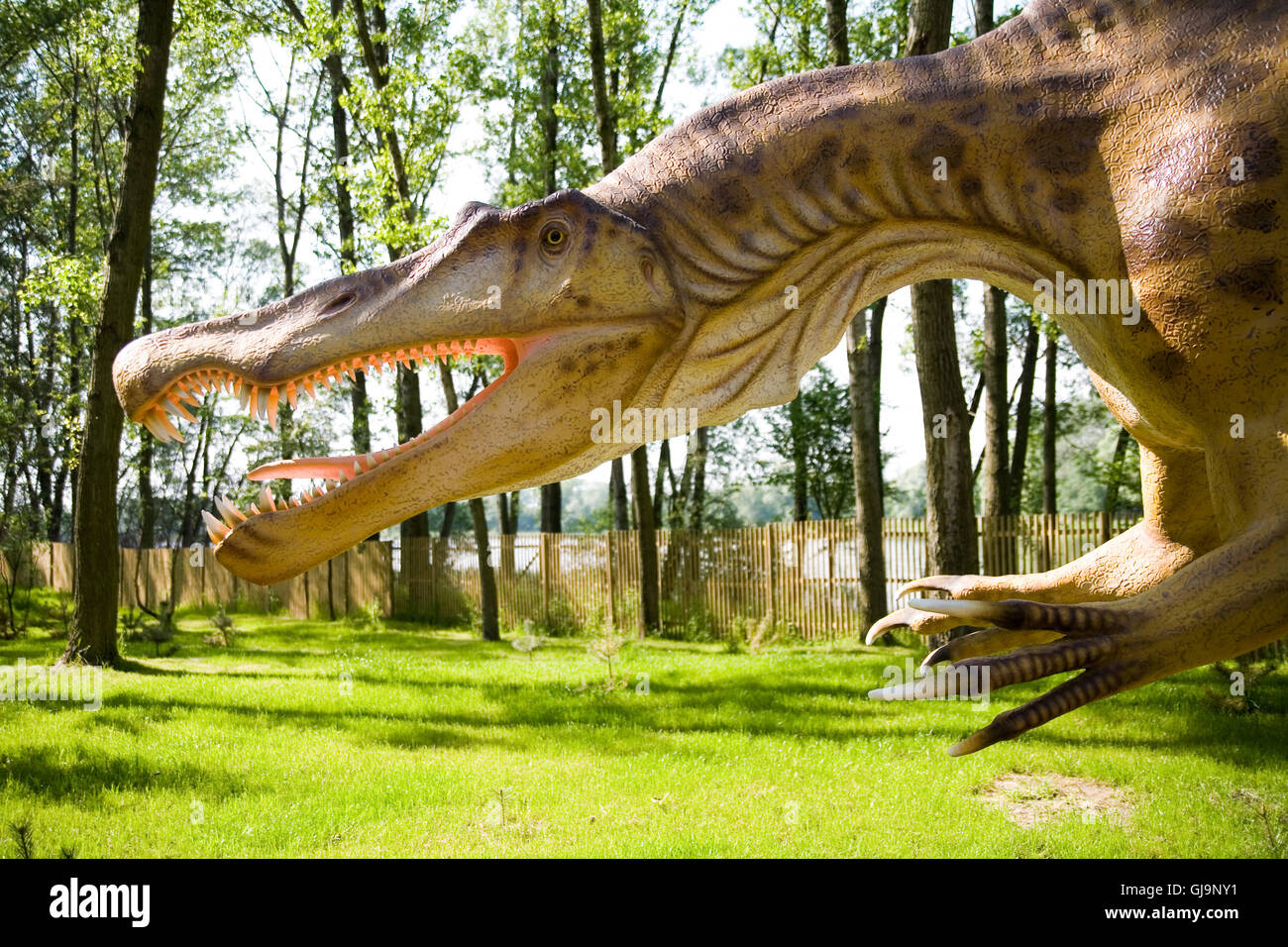 Spinosaurus aegyptiacus Banque de photographies et d’images à haute résolution - Alamy