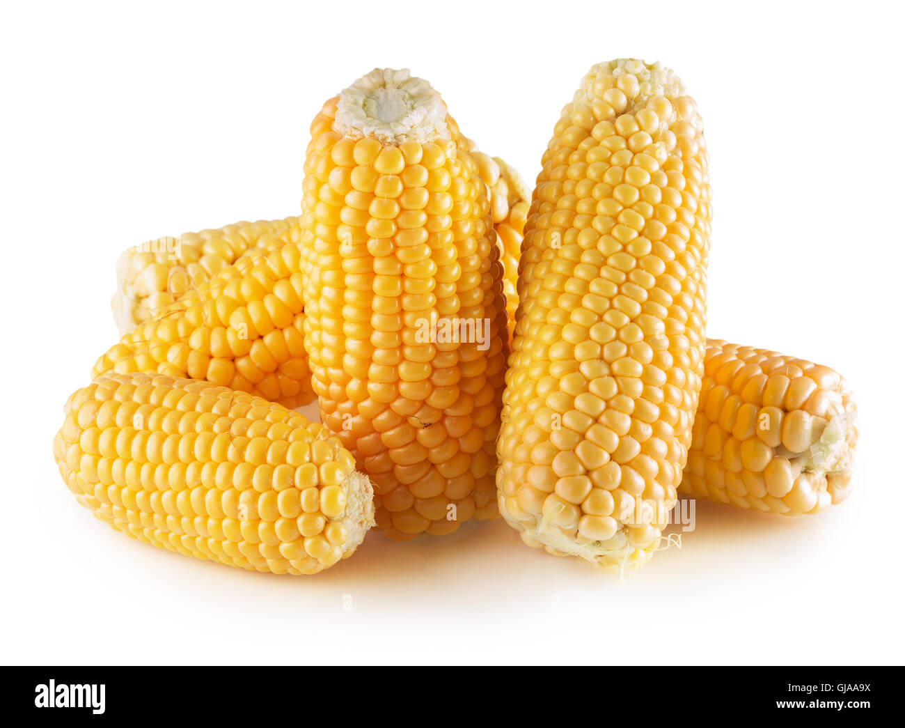 Cors fond Banque de photographies et d’images à haute résolution - Alamy