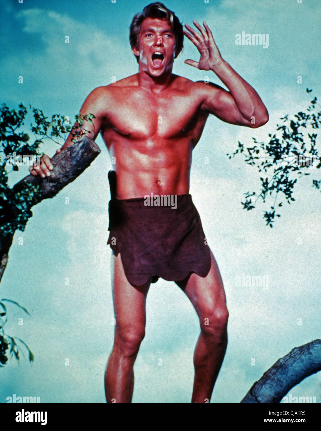 Der herr des urwaldes Banque de photographies et d’images à haute ...