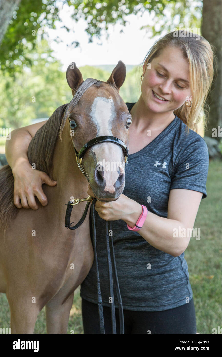 Miniature horse Banque de photographies et d’images à haute résolution ...