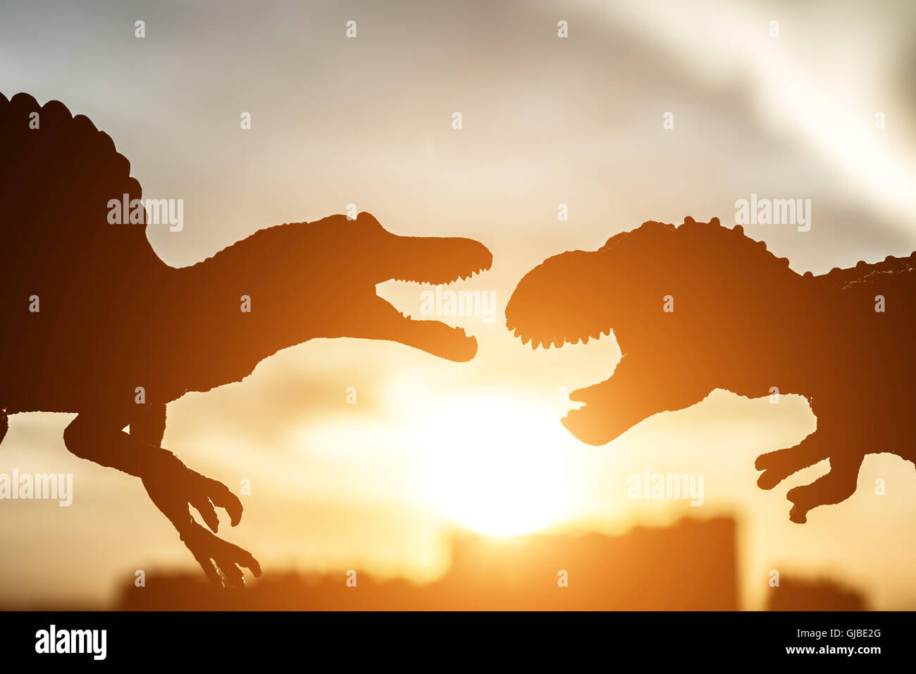 Dinosaur tyrannosaurus silhouette Banque de photographies et d’images à haute résolution - Alamy