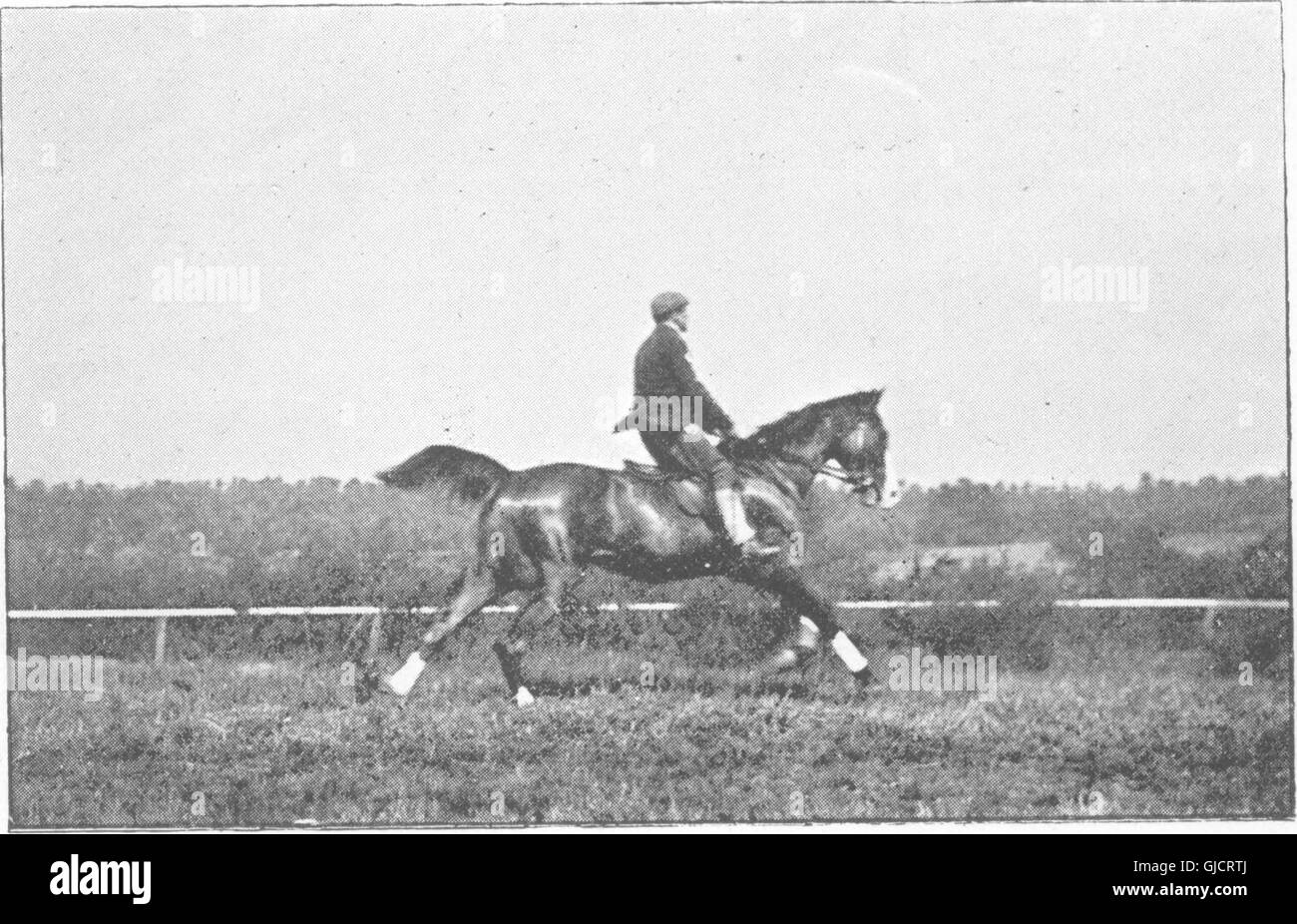 Points du cheval ; un traité sur la conformation, les mouvements, les ...