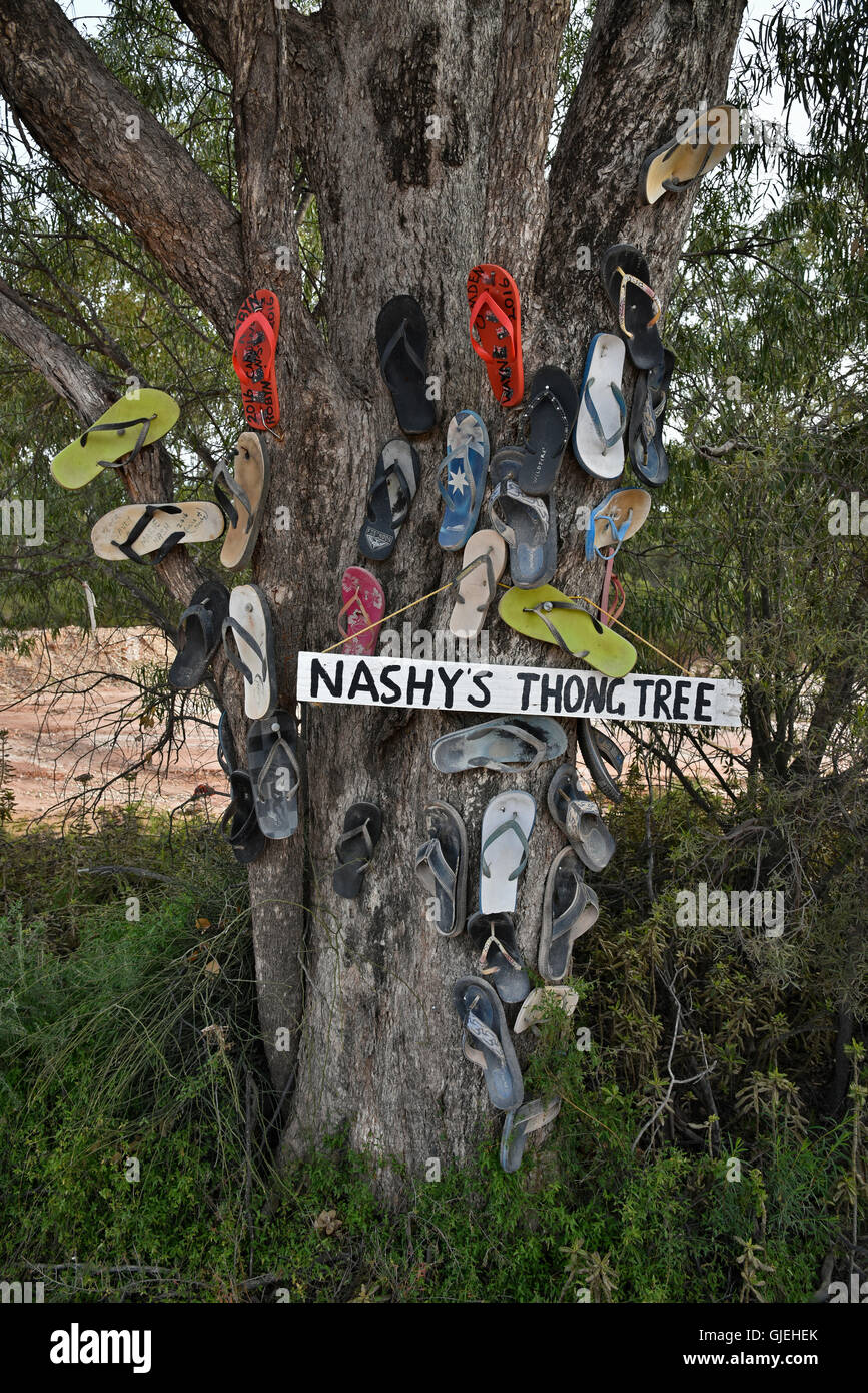 Grawin nsw Banque de photographies et d’images à haute résolution - Alamy