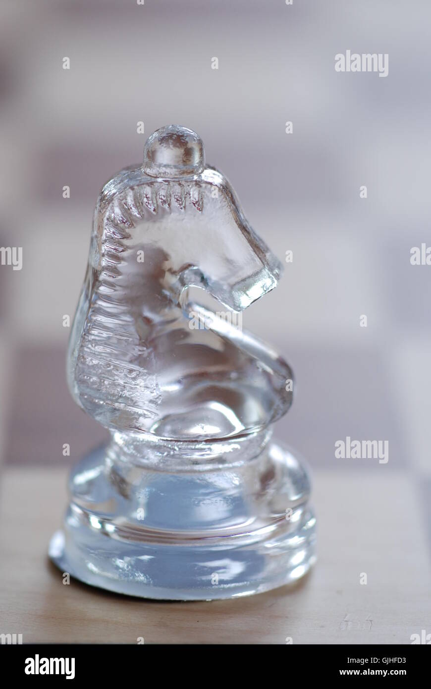 Jeux d'échecs cavalier Banque de photographies et d’images à haute ...