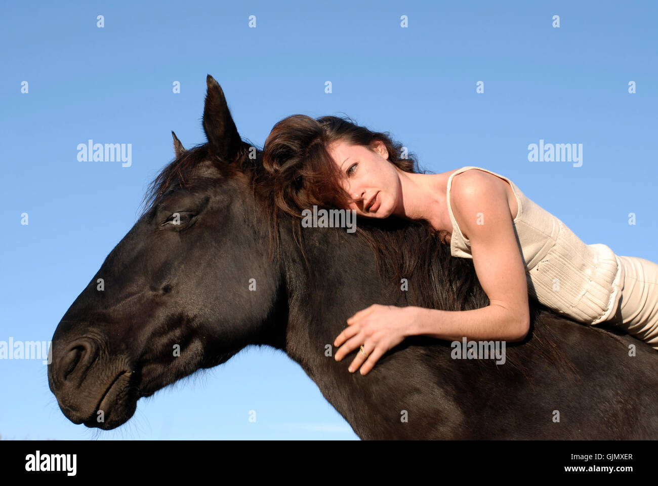Horse kiss riding girl Banque de photographies et d’images à haute ...