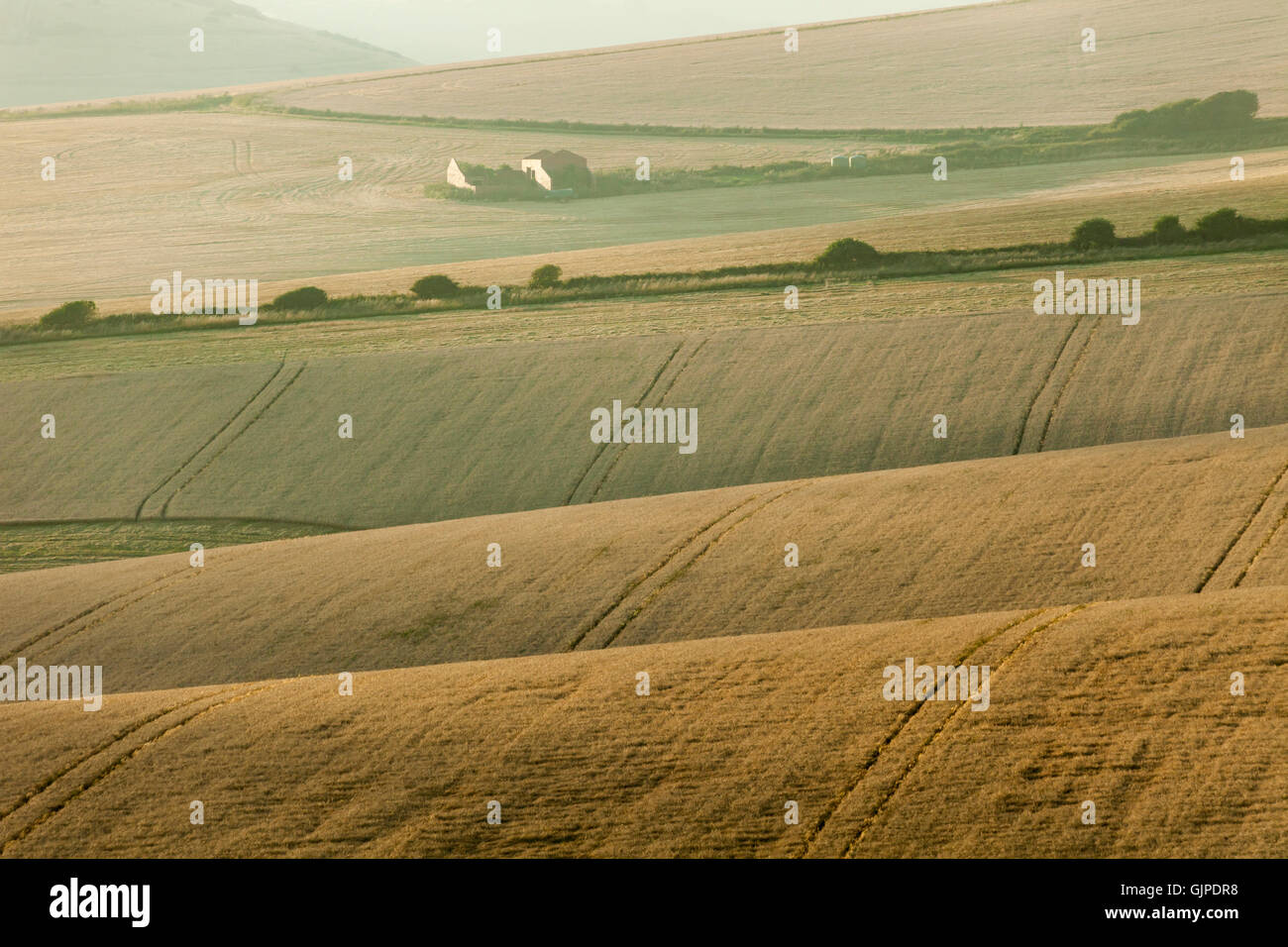 Récolte dans le parc national des South Downs dans l'East Sussex ...